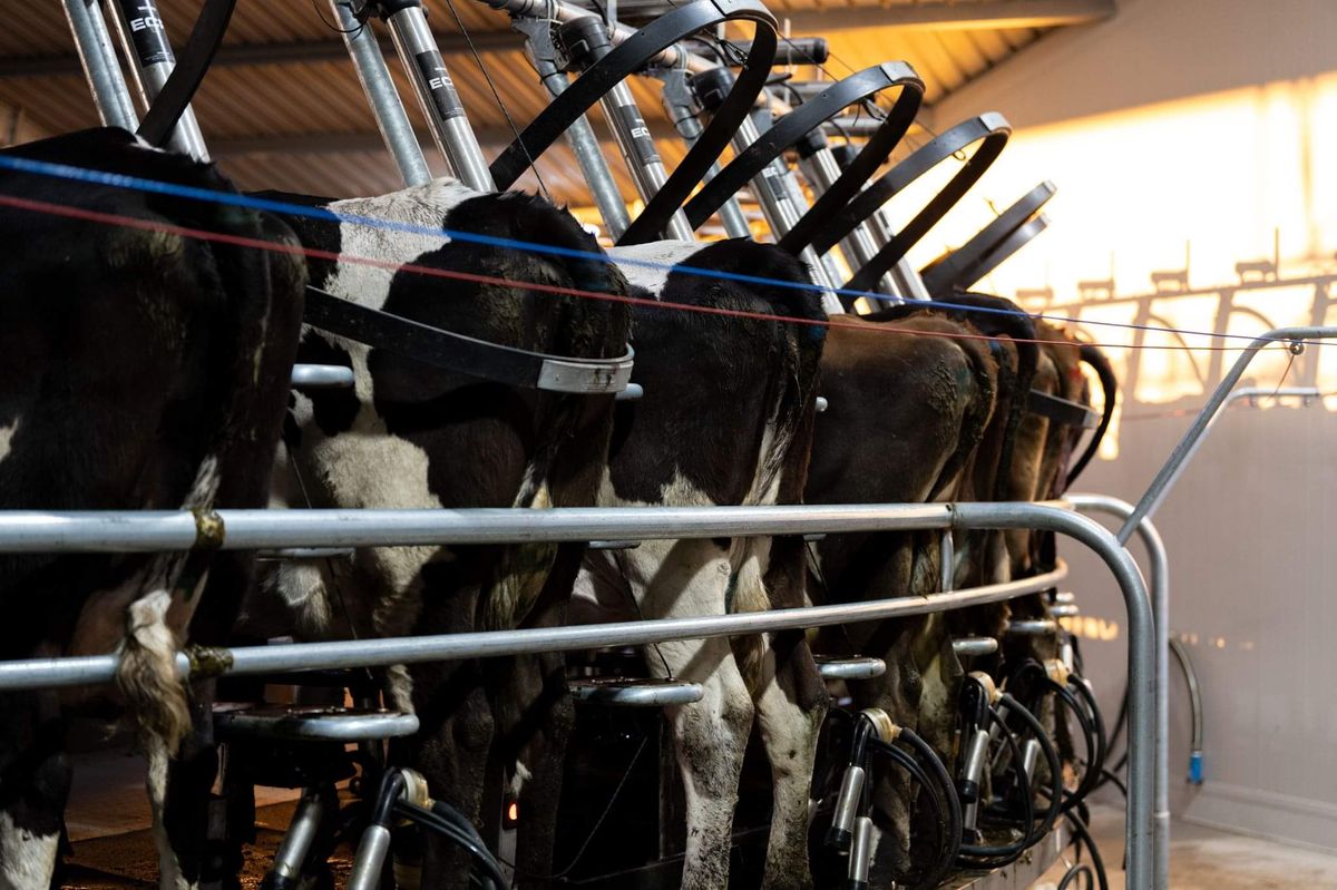 Solutions | Agora’s On-Farm Telemetry Packages