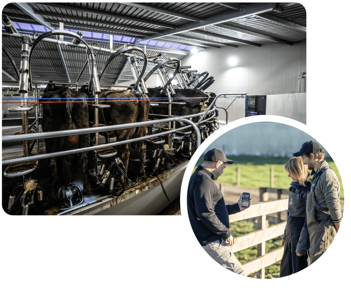 Contact Deosan | Dairy Hygiene Support NZ | Deosan