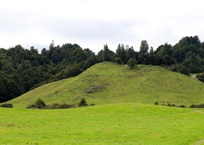 Rereahu Whenua | Tiroa E Te Hape B Trusts