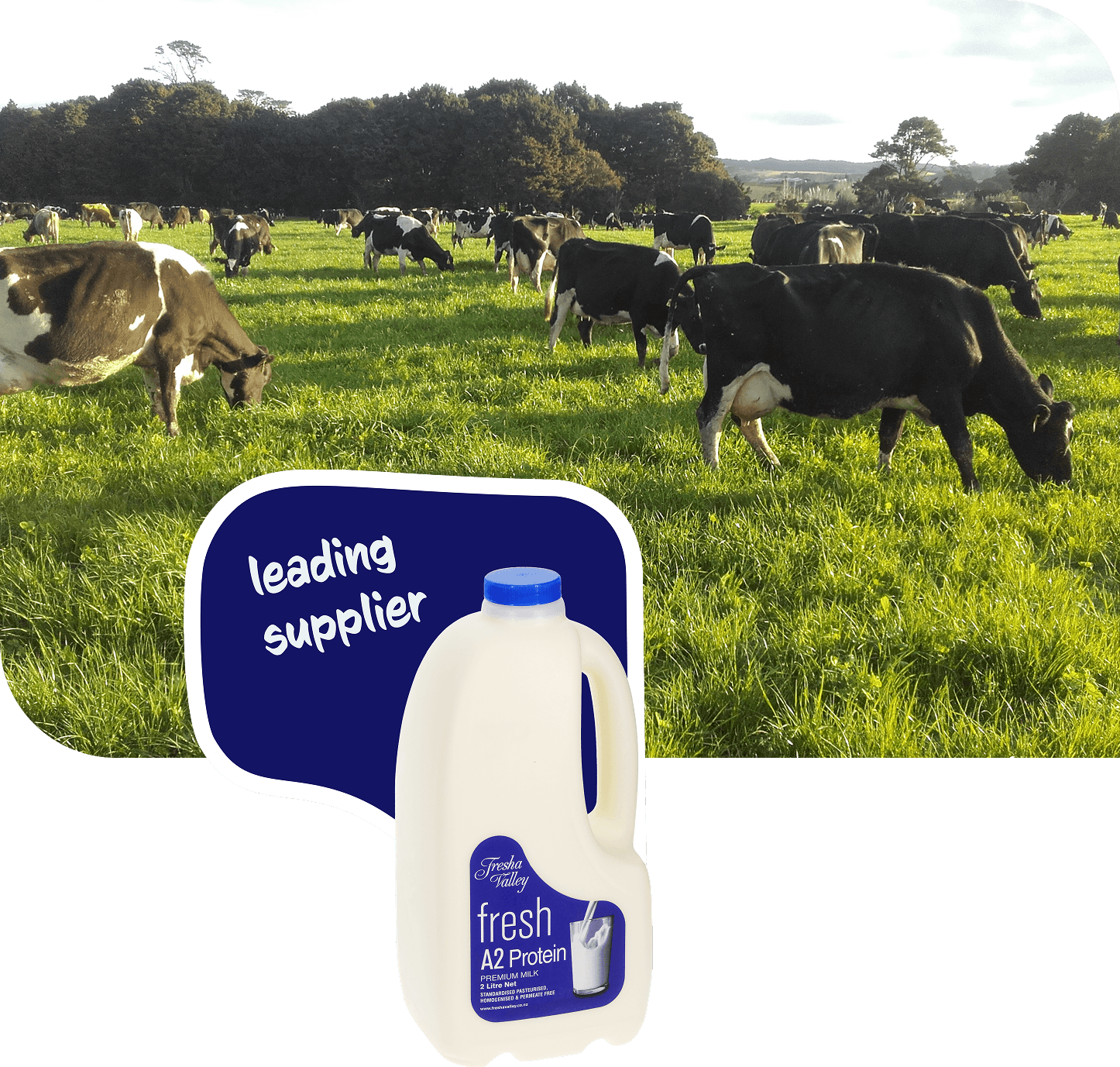 About Fresha Valley | Local NZ Milk Since 1988 | Fresha Valley