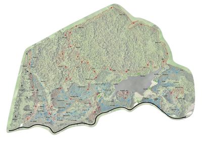 Explore Trails & Maps at Te Miro MTB Park | Te Miro MTB Club